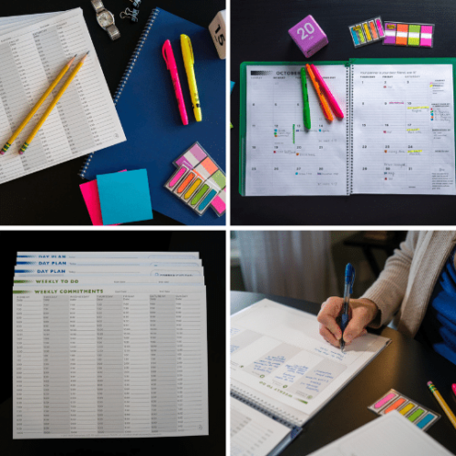 Courses for Individuals and Families - Executive Functioning Success