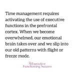 Routines Lighten the Load for your Brain’s Executive Functioning ...