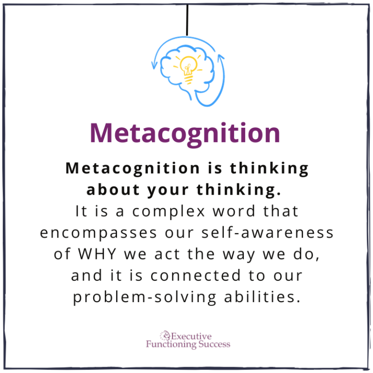 12 Executive Functions of the Brain Spotlight: #1 Metacognition ...