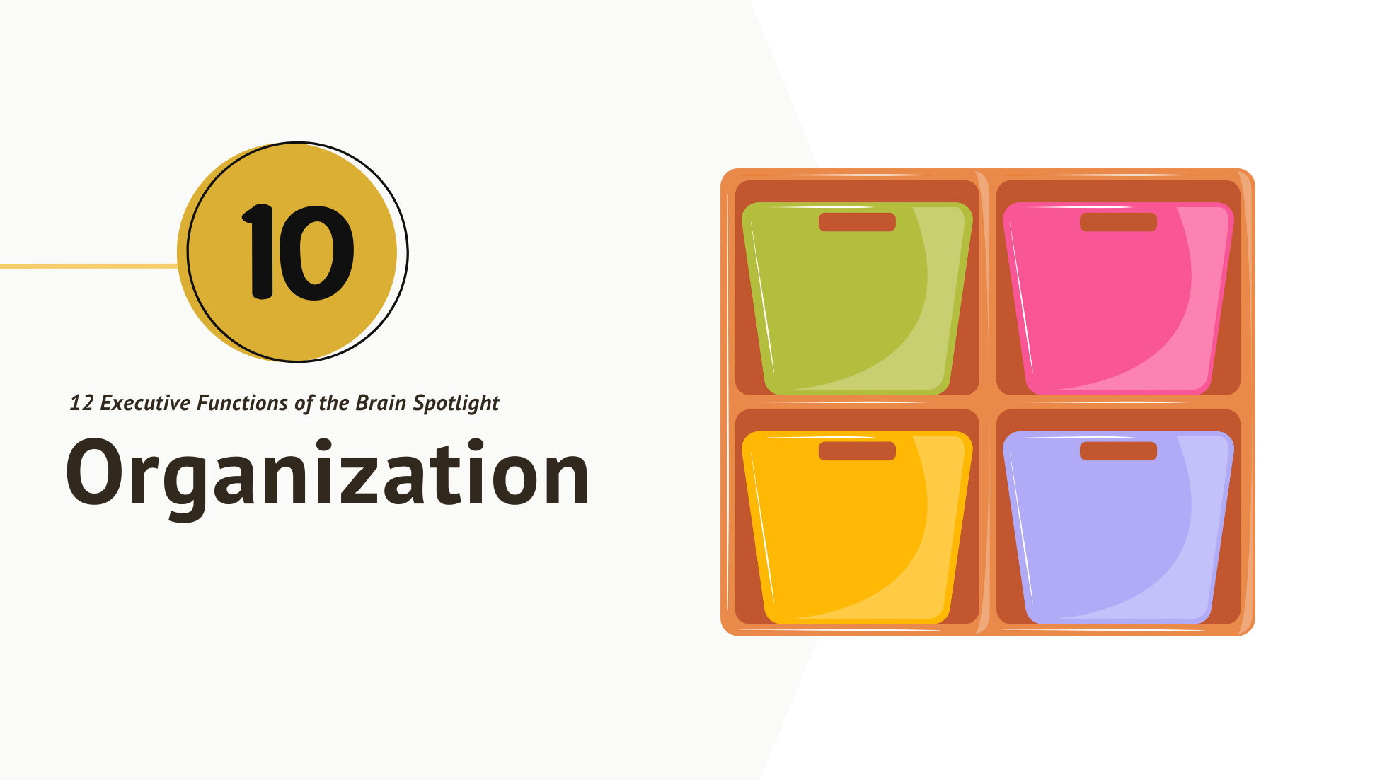 12 Executive Functions Of The Brain Spotlight 10 Organization Executive Functioning Success