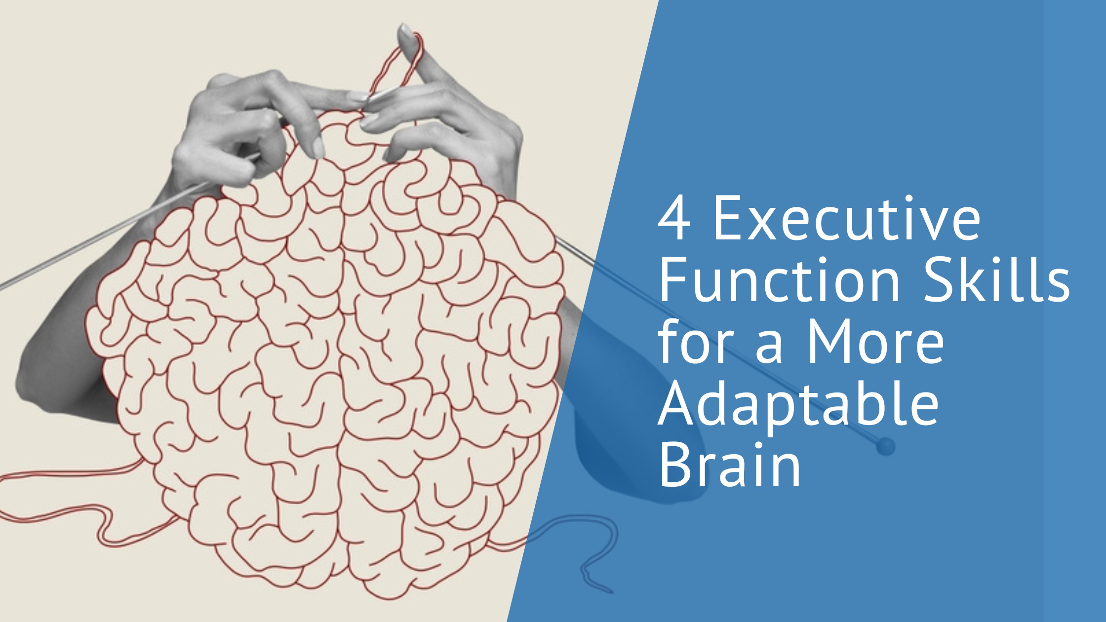 4 Executive Function Skills for a More Adaptable Brain - Executive ...